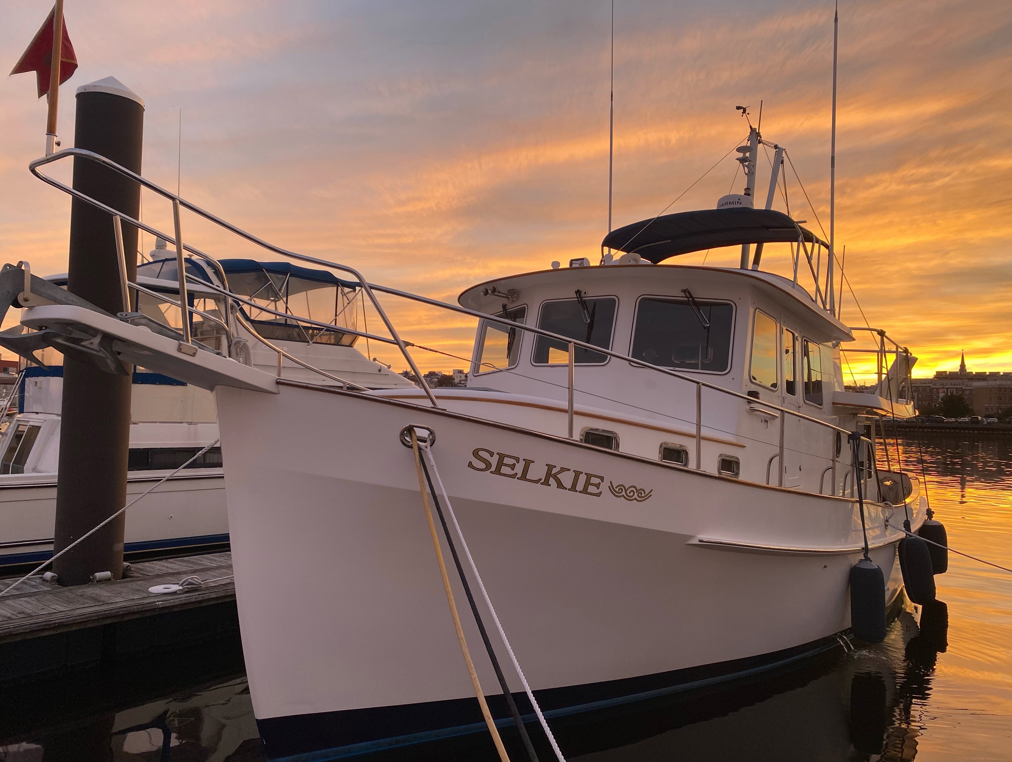 Welcome to Selkie – Selkie